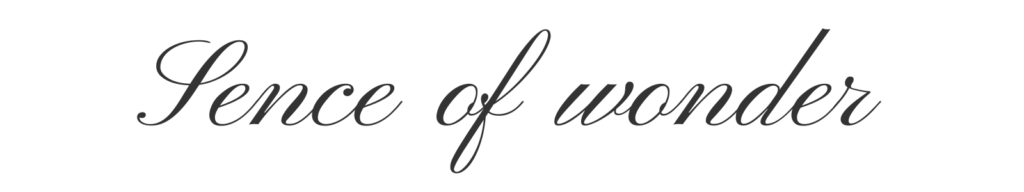 ABOUT US（会社情報） | 株式会社SowLab（ソウラボ）